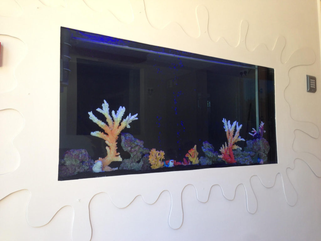 Built In Wall Fish Tank in Newcastle - Oceanlife Aquatics