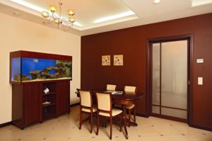 What an Aquarium can Bring to your Office Environment | Ocean Life